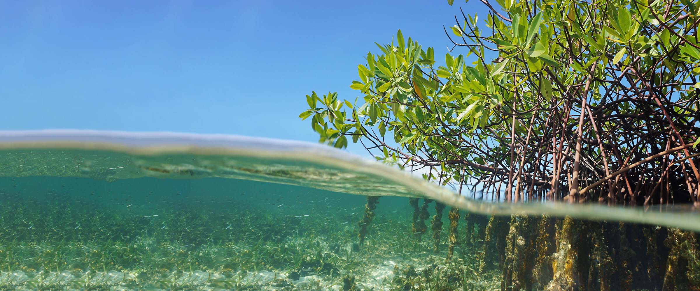 Sustainability | Harvest Oil & Gas